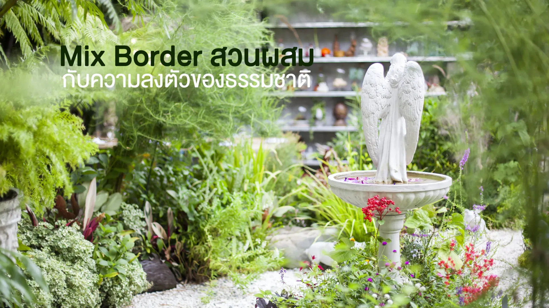 Mix Border สวนผสมกับความลงตัวของธรรมชาติ